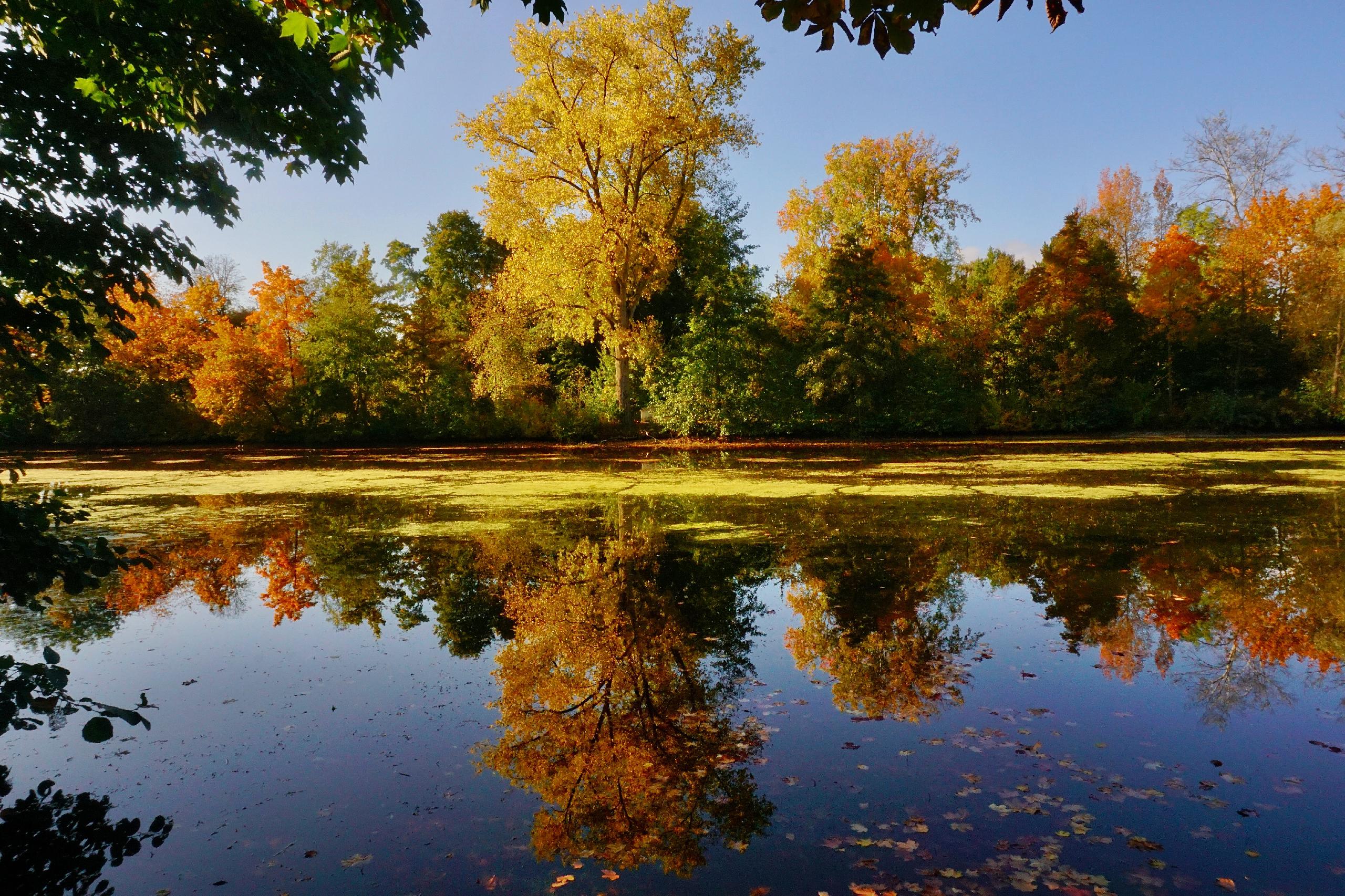 Sascha Arnold - #MEINGIESSEN